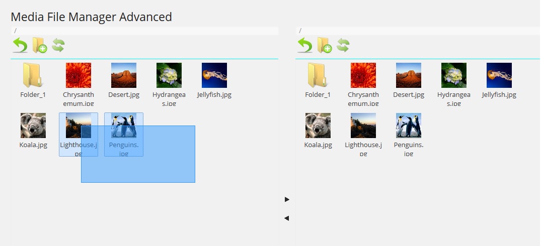 Taking Your Visual Content in WordPress to the next Level — SitePoint