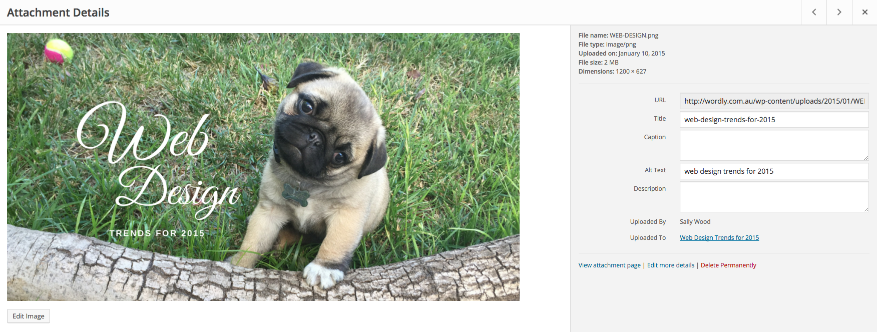 Taking Your Visual Content in WordPress to the next Level — SitePoint