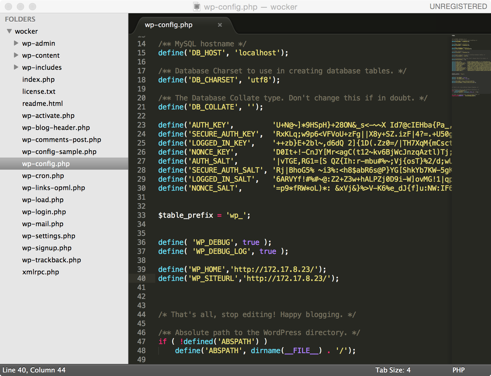 Wocker: Easy Dockerized WordPress - SitePoint