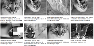 Using Modern CSS to Build a Responsive Image Grid — SitePoint