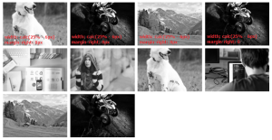 Using Modern CSS to Build a Responsive Image Grid — SitePoint
