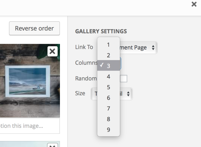 Quick Tip: Create a Simple WordPress Gallery in 5 Minutes — SitePoint