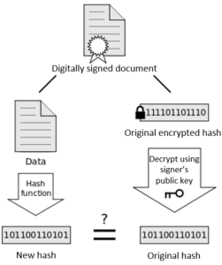 What SSL Is, and Which Certificate Type is Right for You