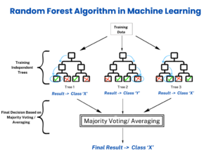 Random Forest Algorithm in Machine Learning With Example - SitePoint